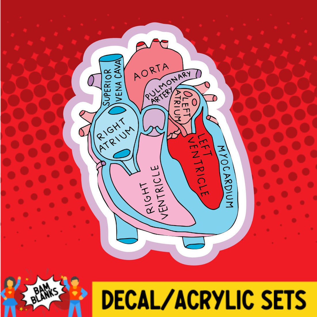 Heart Anatomy - DECAL AND ACRYLIC SHAPE #DA02553 – BAM Blanks and More