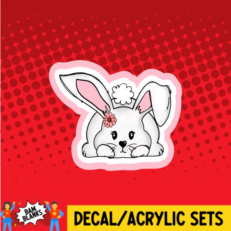 Cute Bunny - DECAL AND ACRYLIC SHAPE #DA0158 – BAM Blanks and More